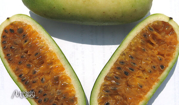 30 Exotic Tropical Fruits of Colombia: A Fruit Lover’s Paradise