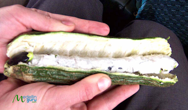 30 Exotic Tropical Fruits of Colombia: A Fruit Lover’s Paradise