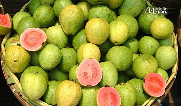 30 Exotic Tropical Fruits of Colombia: A Fruit Lover’s Paradise