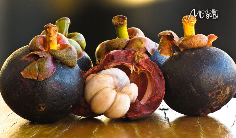 30 Exotic Tropical Fruits of Colombia: A Fruit Lover’s Paradise