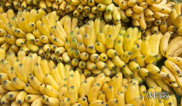 30 Exotic Tropical Fruits of Colombia: A Fruit Lover’s Paradise
