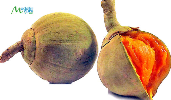 30 Exotic Tropical Fruits of Colombia: A Fruit Lover’s Paradise