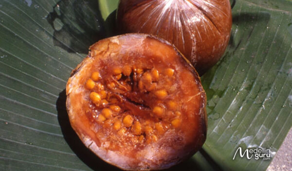 30 Exotic Tropical Fruits of Colombia: A Fruit Lover’s Paradise