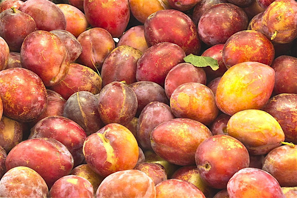30 Exotic Tropical Fruits of Colombia a Fruit Lovers Paradise