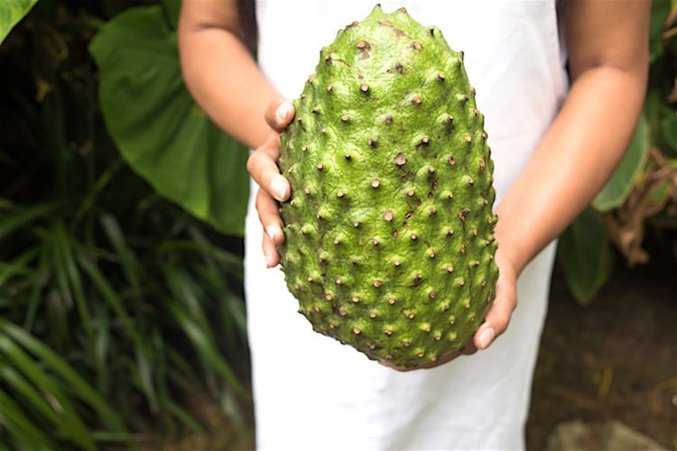 30 Exotic Tropical Fruits of Colombia a Fruit Lovers Paradise
