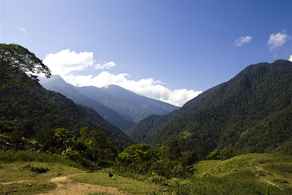 Ciudad Perdida: A Guide to Hiking to the Lost City in Colombia