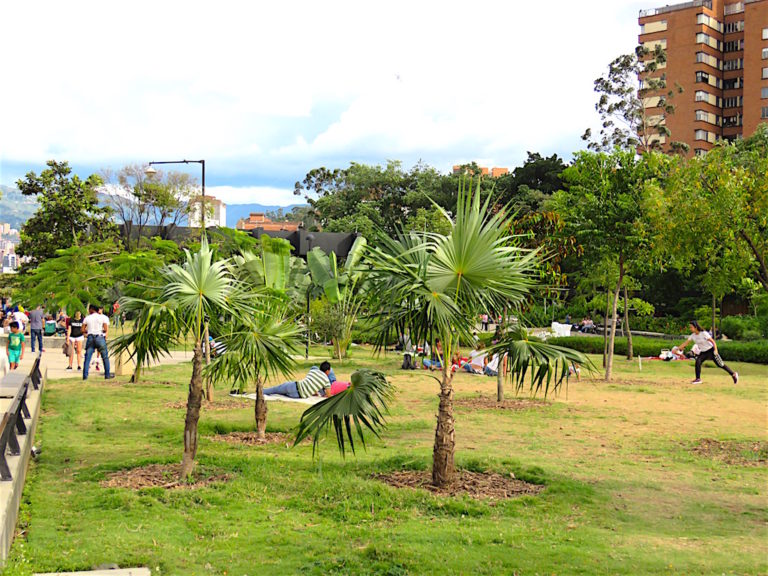 Parques Del Río: A Guide to Medellín's River Parks