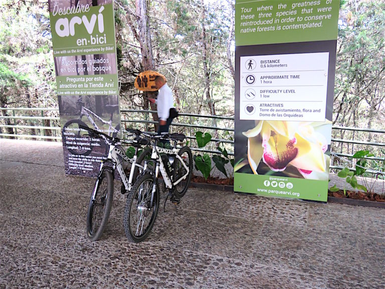 Parque Arví: The Ultimate Guide to Medellín's Parque Arví