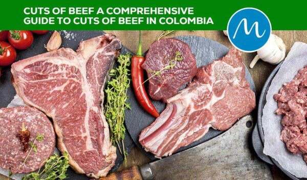 Cuts of Beef: A Comprehensive Guide to Cuts of Beef in Colombia