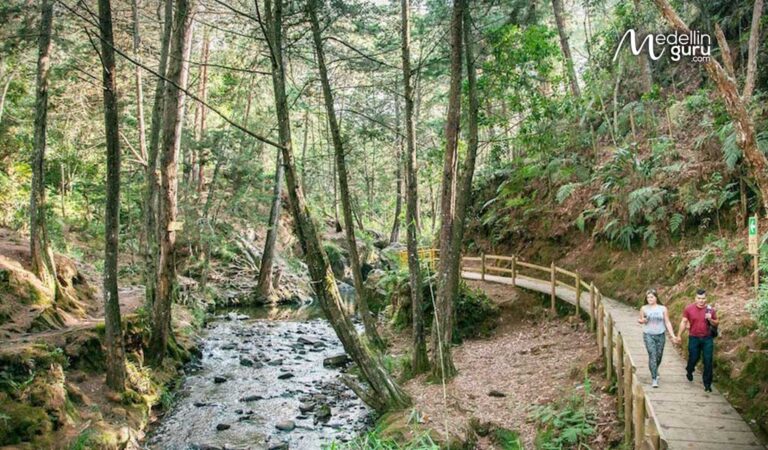 Parque Arví Medellín: A Complete 2025 Travel Guide