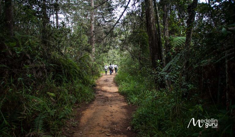 Parque Arví Medellín: A Complete 2025 Travel Guide