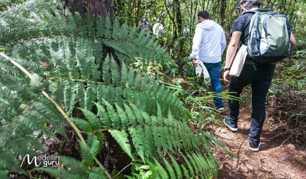 Parque Arví Medellín: A Complete 2025 Travel Guide