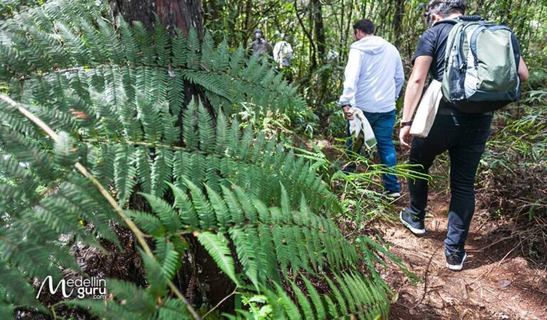 Parque Arví Medellín: A Complete 2025 Travel Guide