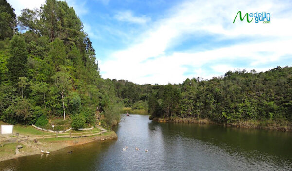 Parque Arví: The Ultimate Guide to Medellín's Parque Arví