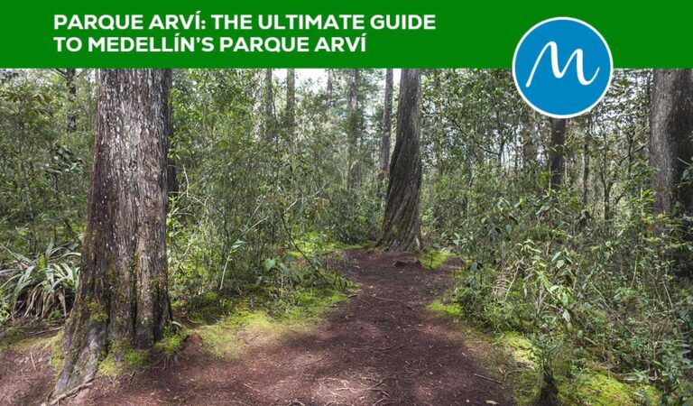 Parque Arví: The Ultimate Guide to Medellín's Parque Arví