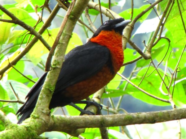 8 National Parks Reopen in Colombia After 6 Months of Closure