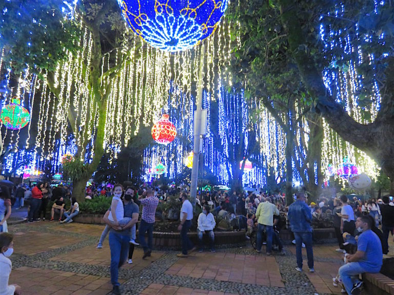 Alumbrados Sabaneta 2021: Photos of Christmas Lights in Sabaneta