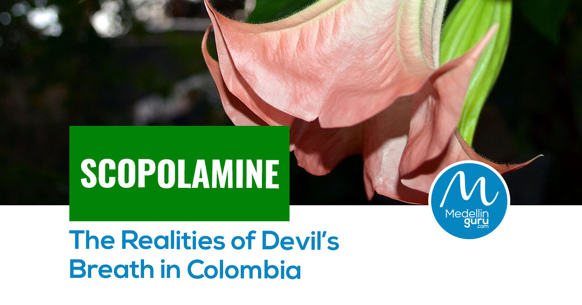 Scopolamine: The Realities of Devil's Breath in Colombia